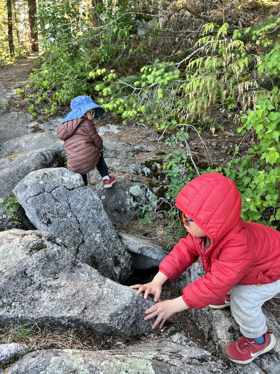 Camping at Sasquatch Provincial Park – Hicks Lake Campground - Outdoor ...
