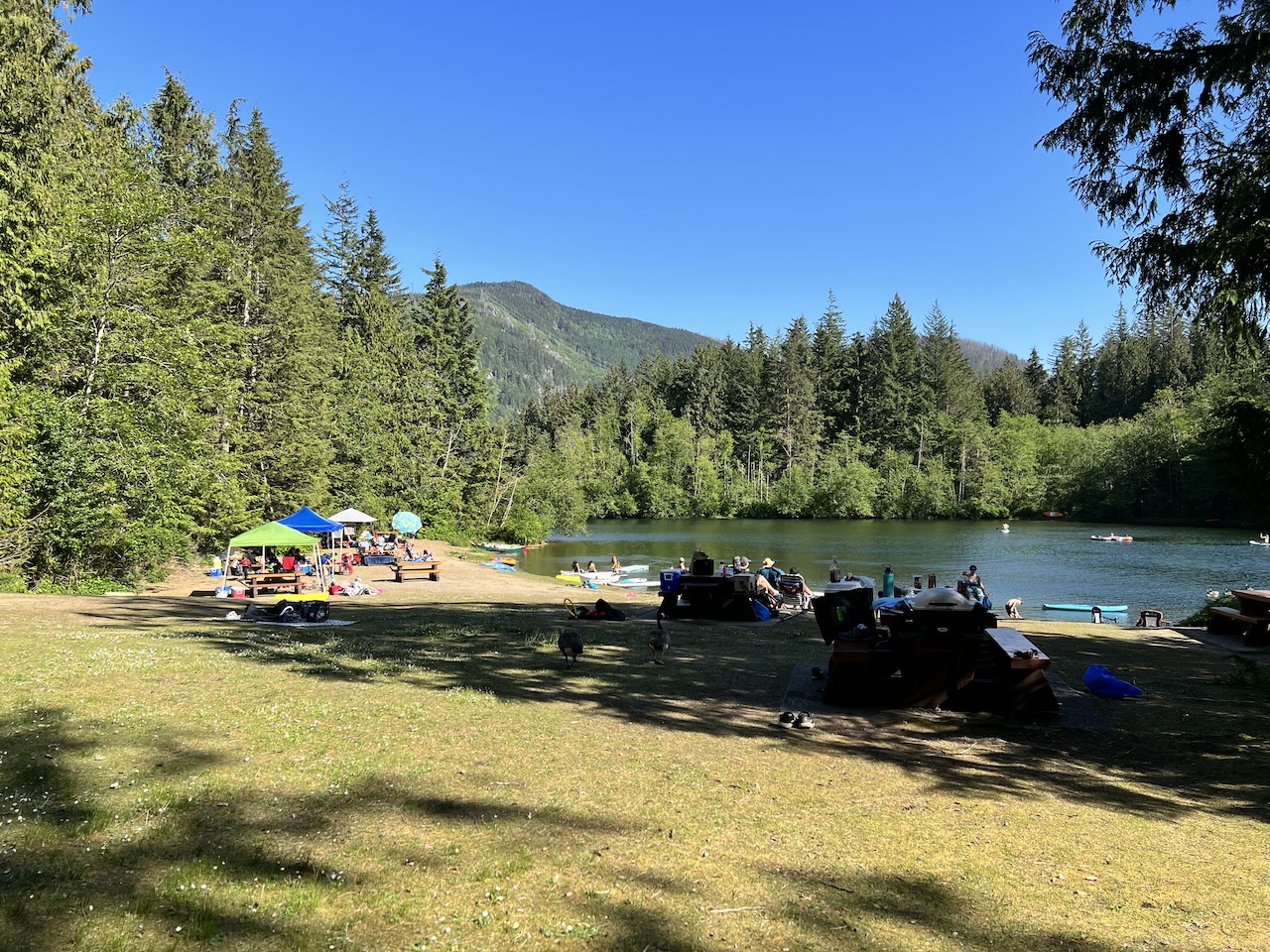 Camping at Sasquatch Provincial Park – Hicks Lake Campground - Outdoor ...