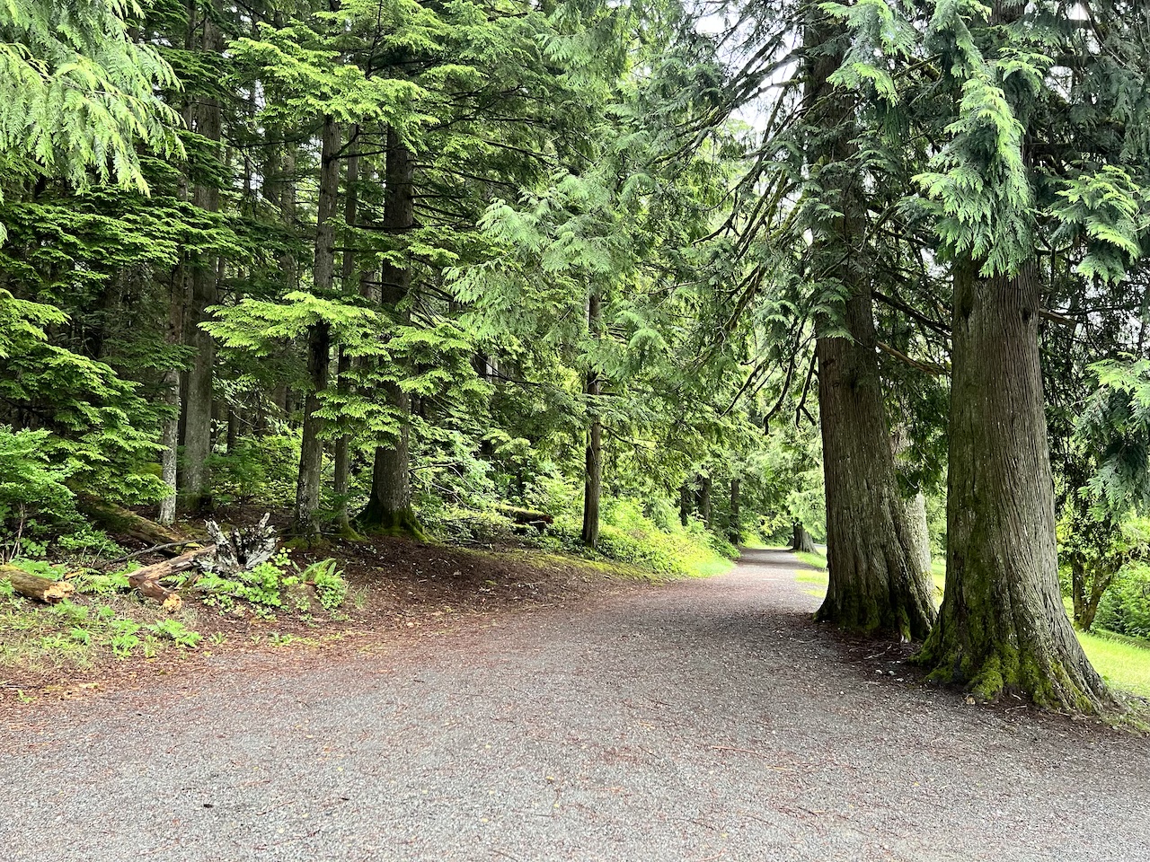 Camping at Golden Ears Provincial Park - Outdoor Family