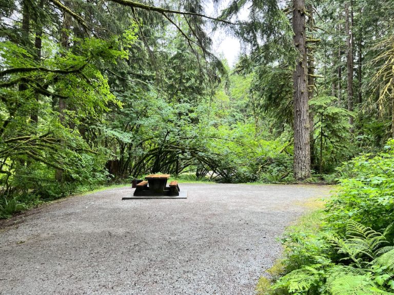 Camping at Golden Ears Provincial Park - Outdoor Family