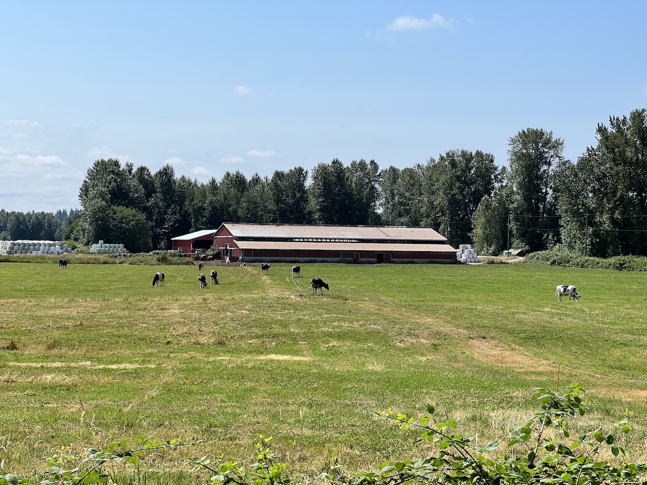 Barnston Island Regional Park - Outdoor Family